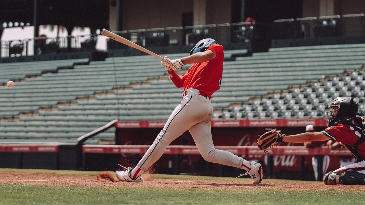 Physical Therapy For Baseball Performance Training